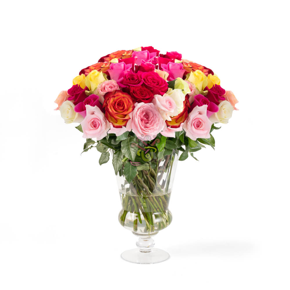 Mother's Day Roses - 100 Stems, Choose Your Colors, Fast Delivery (no ...