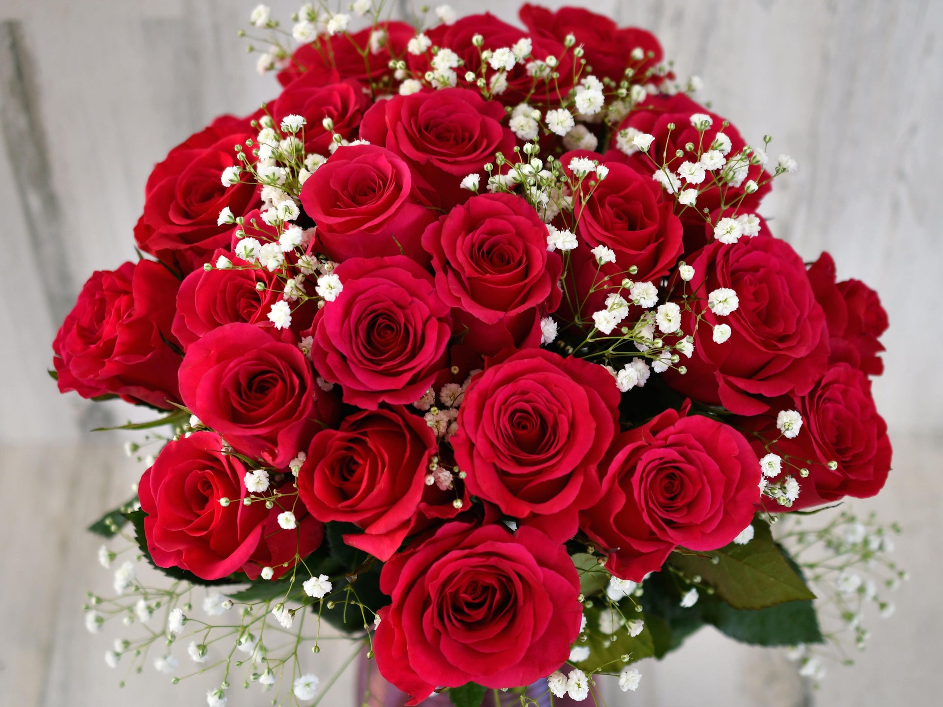 Wholesale Ecuadorian Rosas & Bulk Flowers • Farm-direct – Asiri Blooms