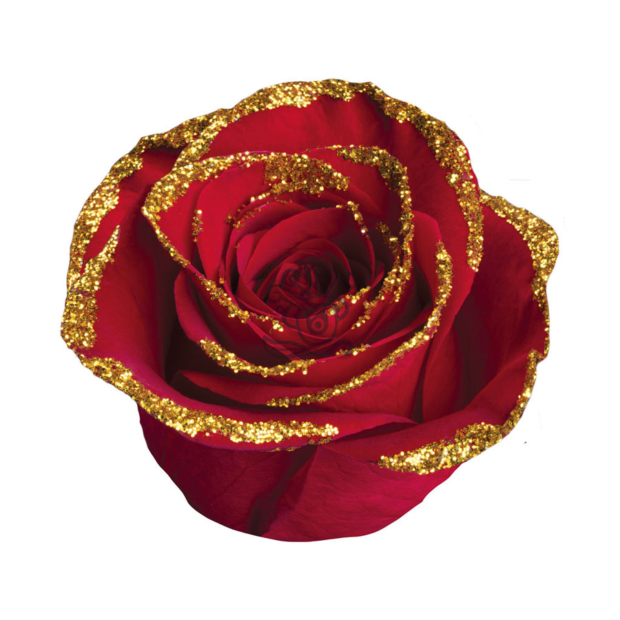 Tinted Ecuadorian Roses • Asiri Blooms • Bulk Flowers – Page 2